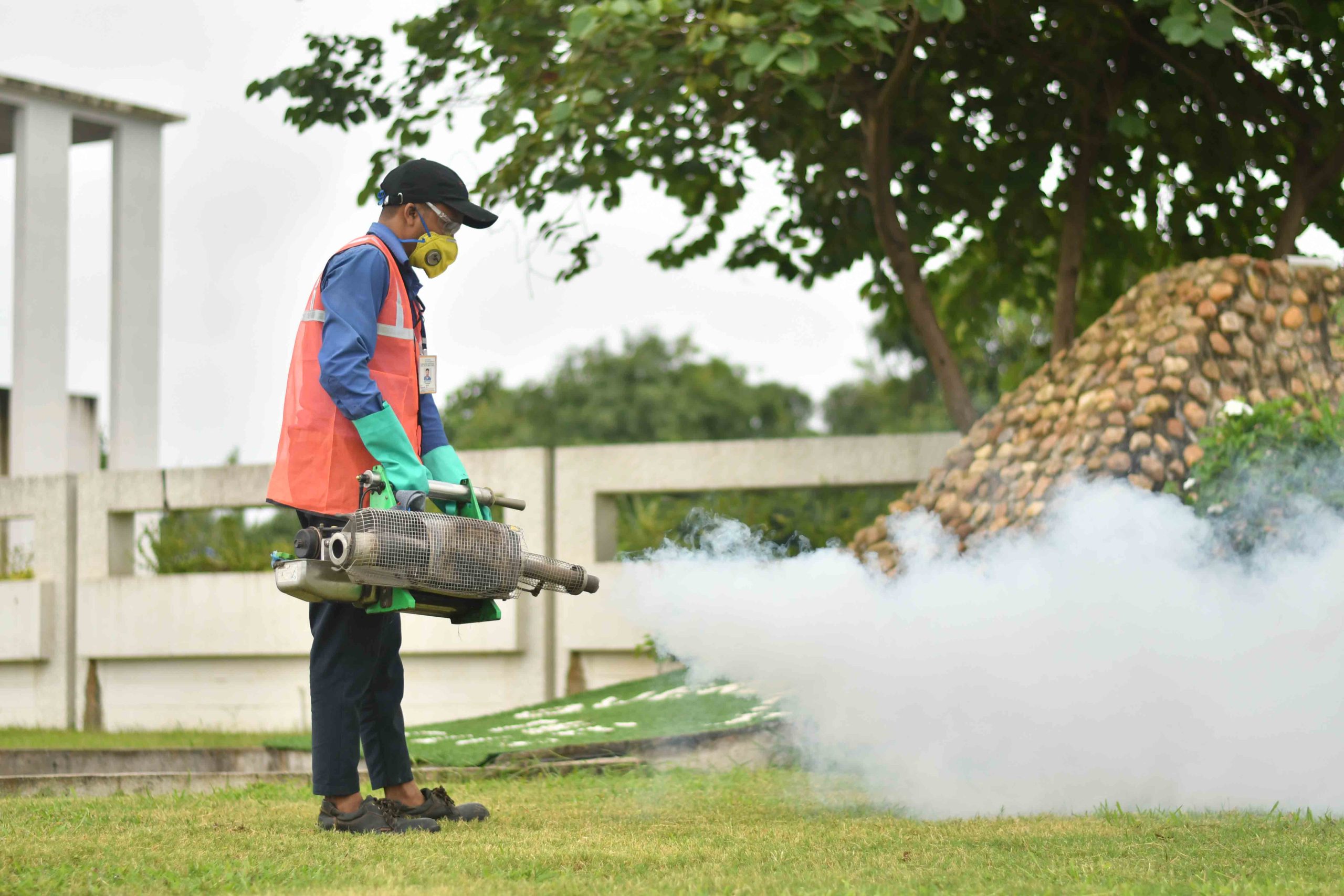 Mosquitoes Control Services – Asia Pacific Pest Management