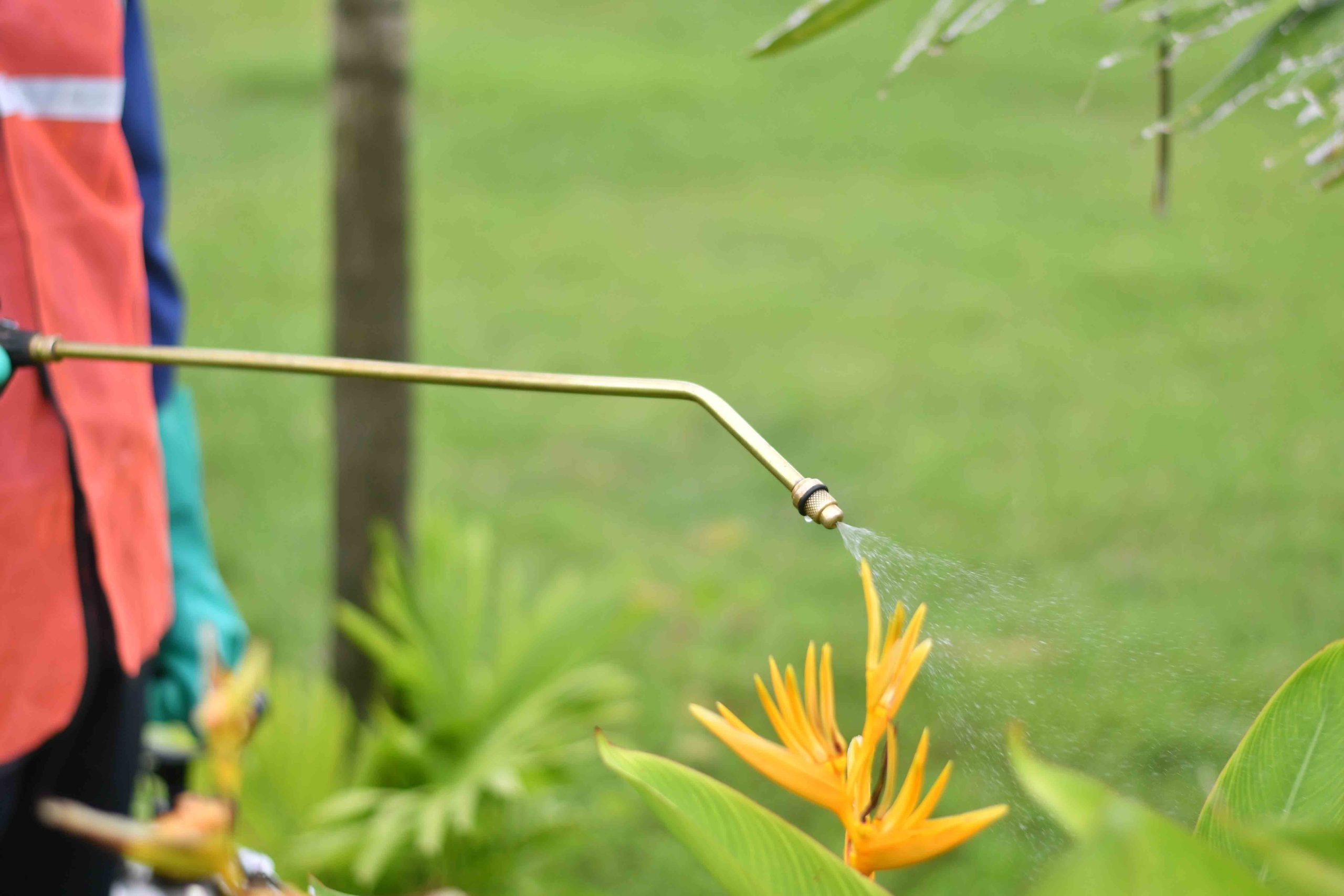 Ticks - Asia Pacific Pest Management | APPM